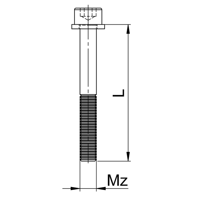 EXMAR | Hexagon socket screw